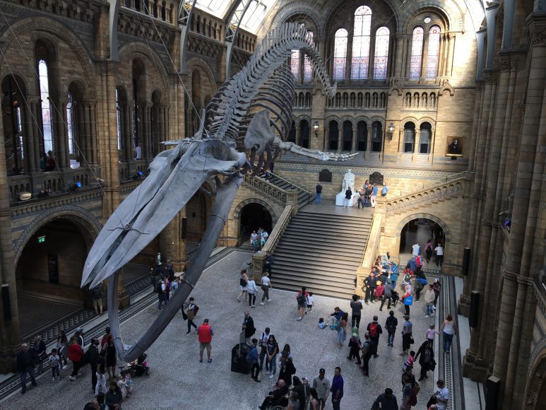 Breadcrumbs National History Museum Treasure Hunt – About London Laura ...
